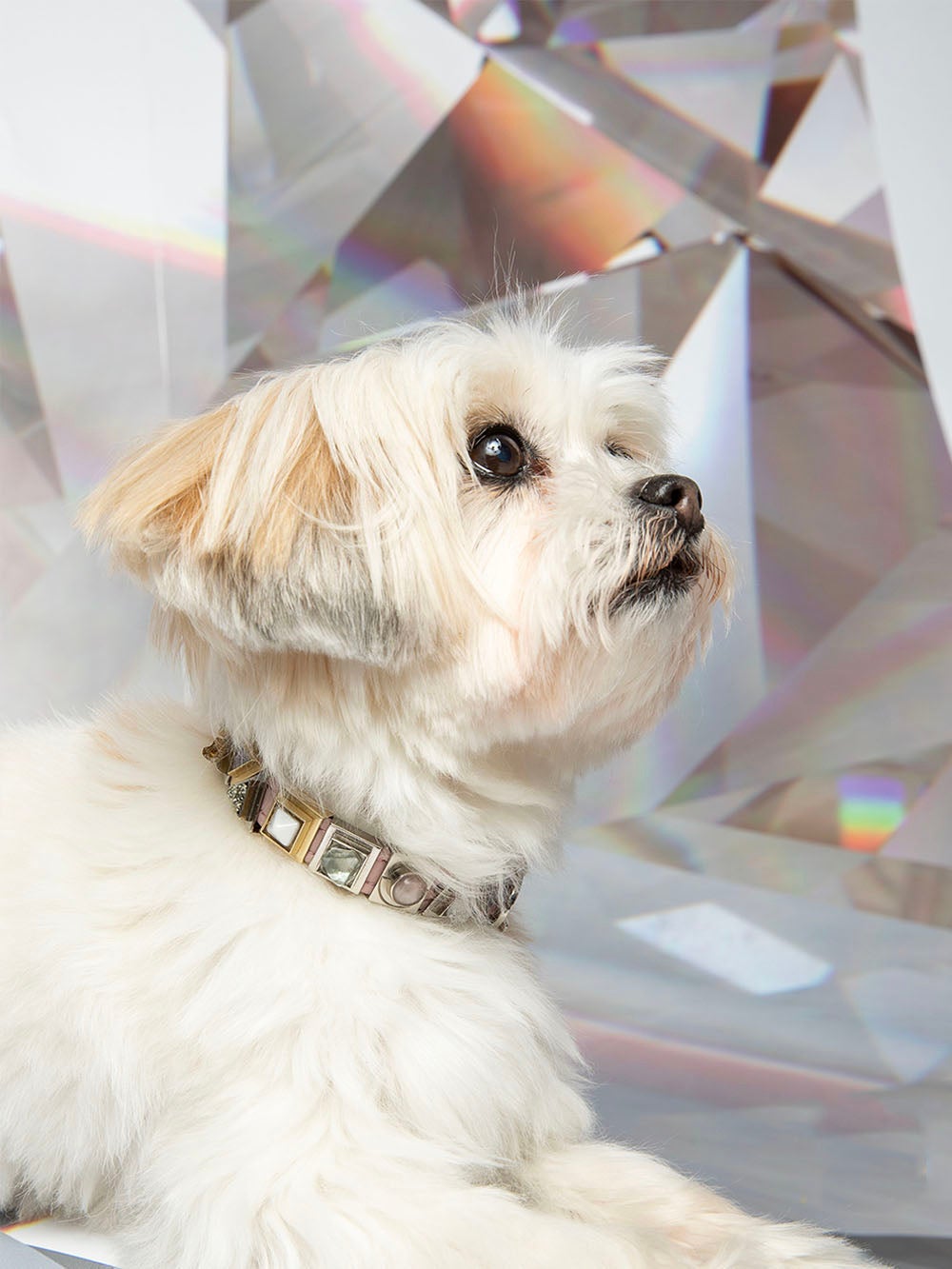 Becker, Rachael | RISD Alumni